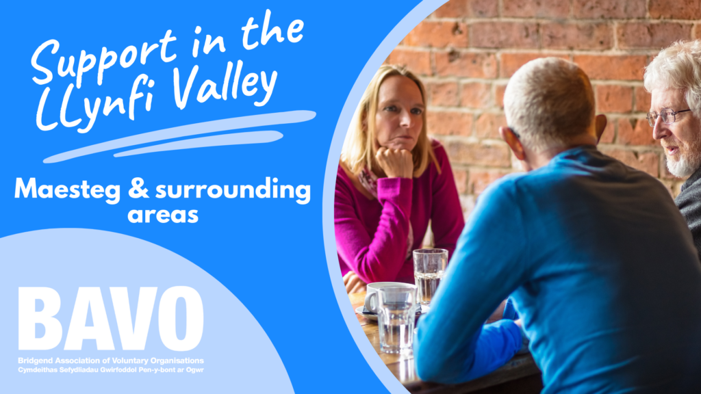 Support in the Llynfi Valley - Bridgend Association of Voluntary ...